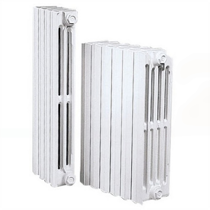 Biasi radiatore ghisa prg 5/566